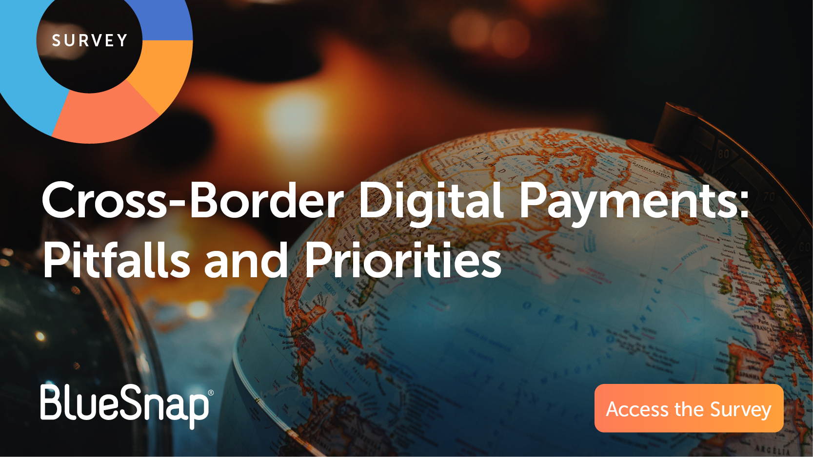 Cross-Border Digital Payments: Pitfalls and Priorities I BlueSnap